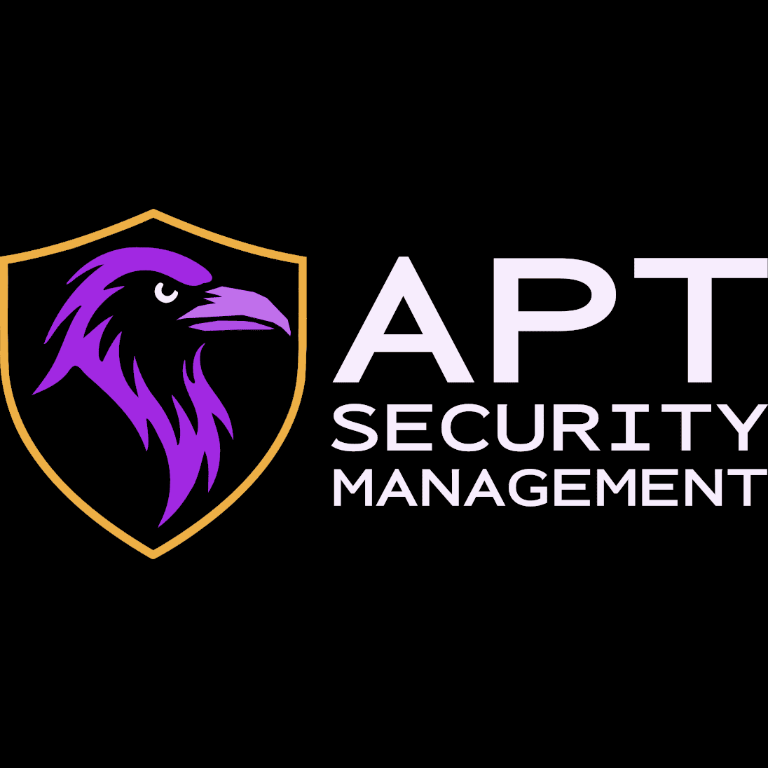 APT SECURITY MANAGEMENT | MANAGED SECURITY SERVICES PROVIDER (MSSP)